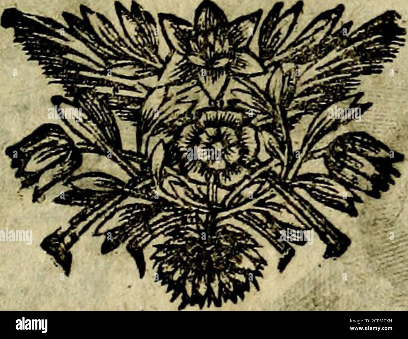 Discours publics hi-res stock photography and images - Alamy