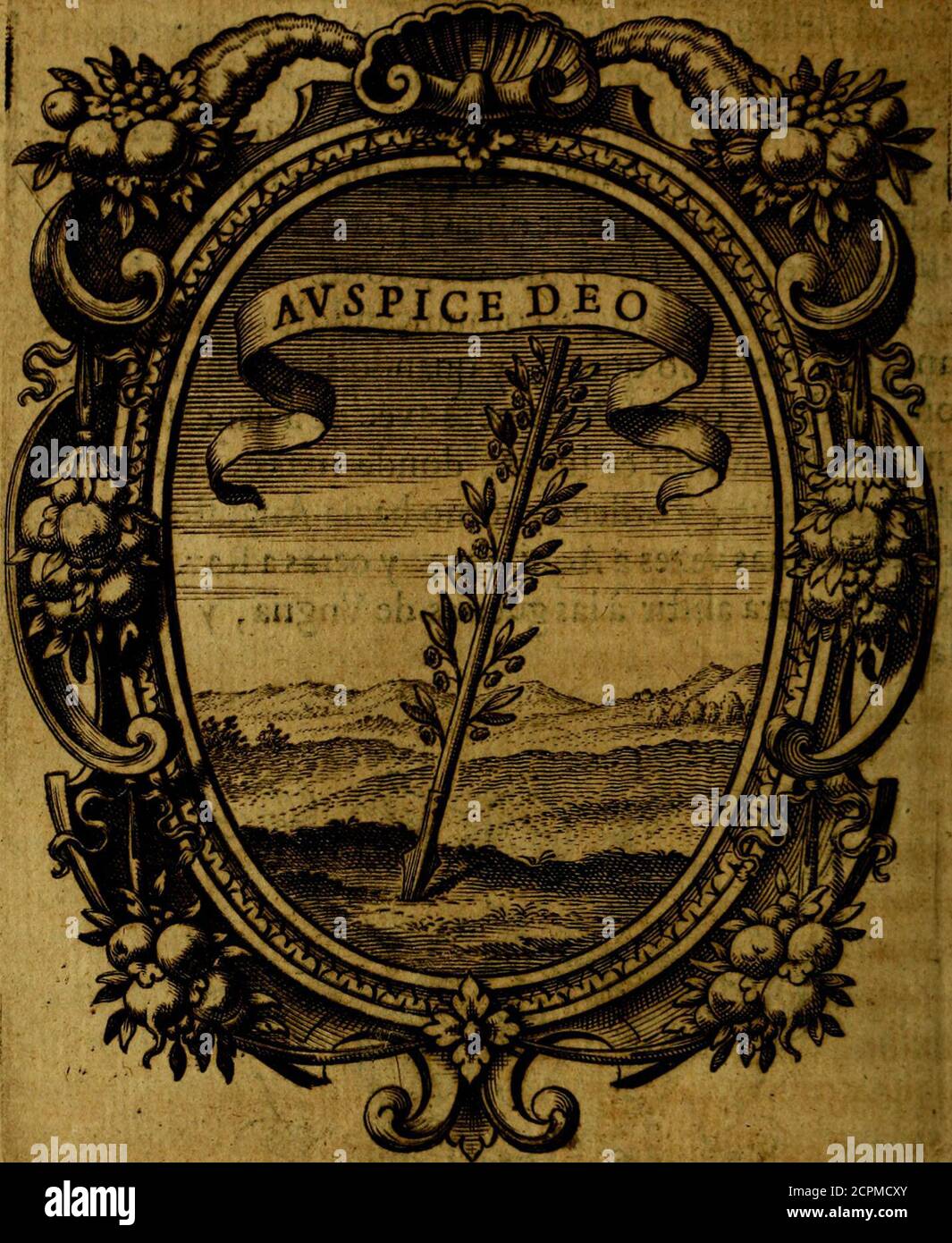 Feliz cien hi-res stock photography and images - Alamy