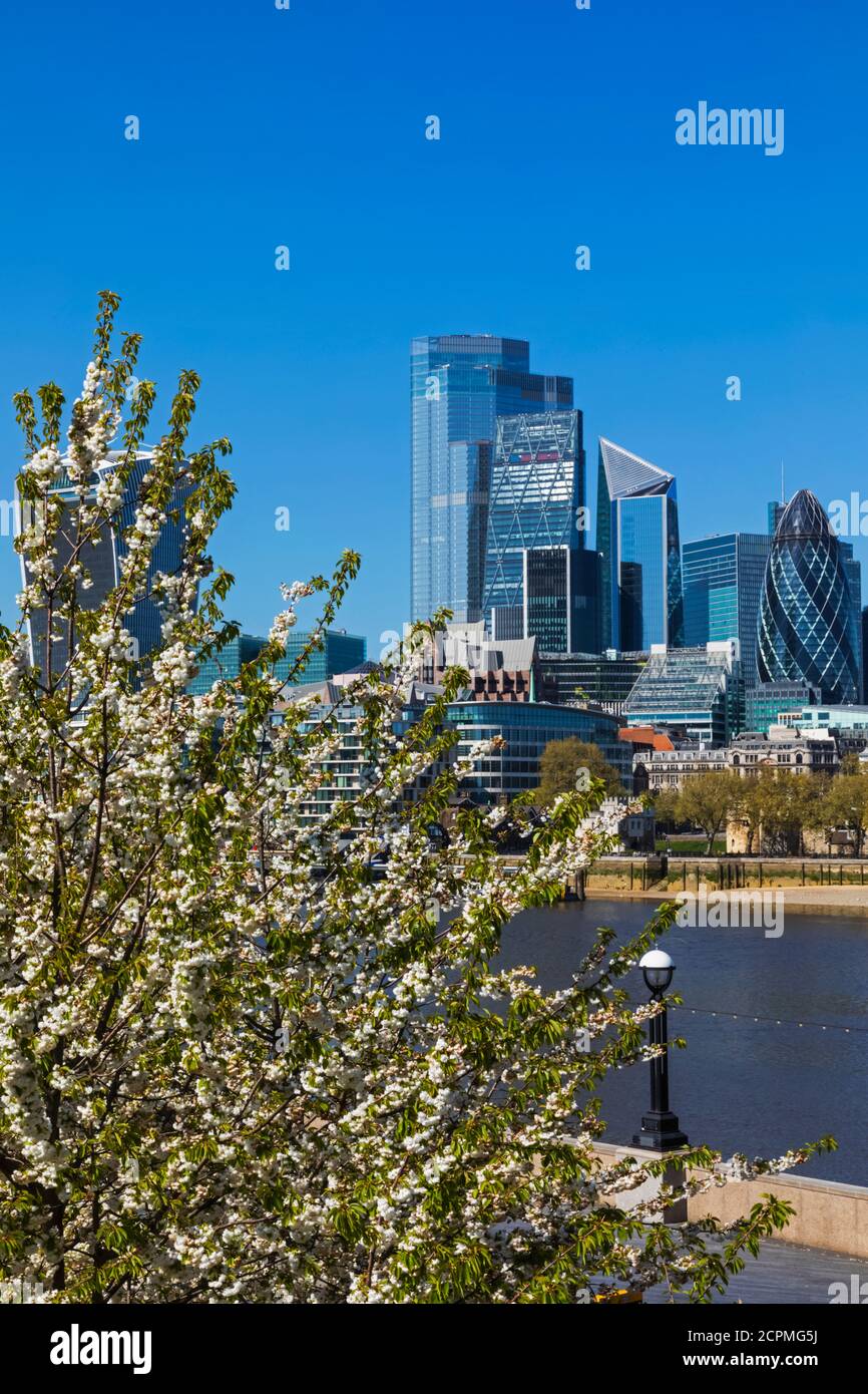 Blossom tree london skyline hi-res stock photography and images - Alamy