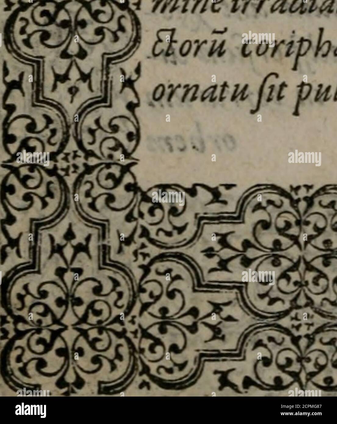 . Hadriani Iunii medici Emblemata . Uua 8 Stock Photo - Alamy