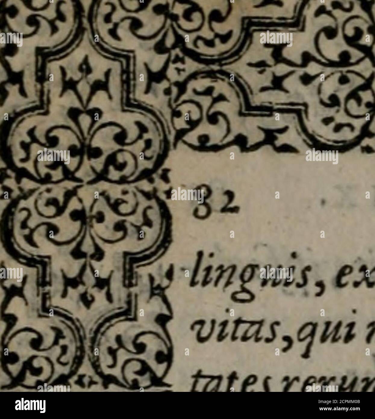 Emblema medici hi-res stock photography and images - Alamy