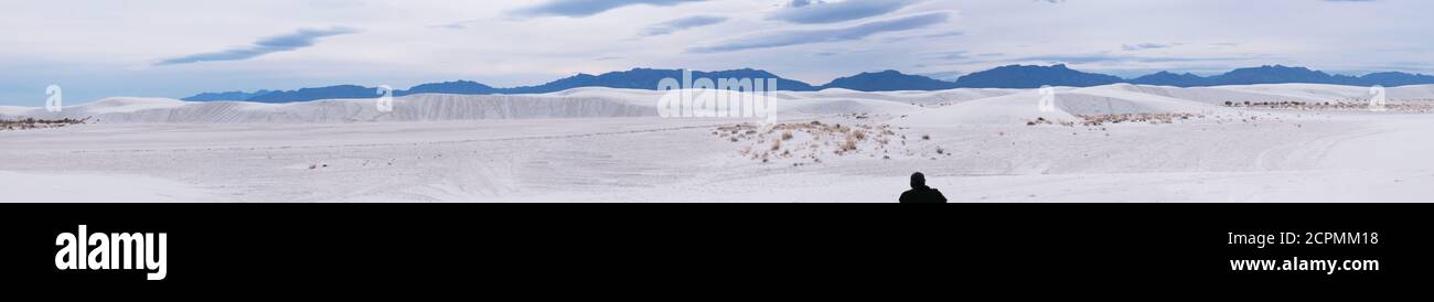 View of White Sands National Park gypsum sand dunes with vegetation ...