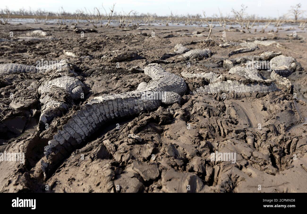 Pilcomayo river hi-res stock photography and images - Alamy
