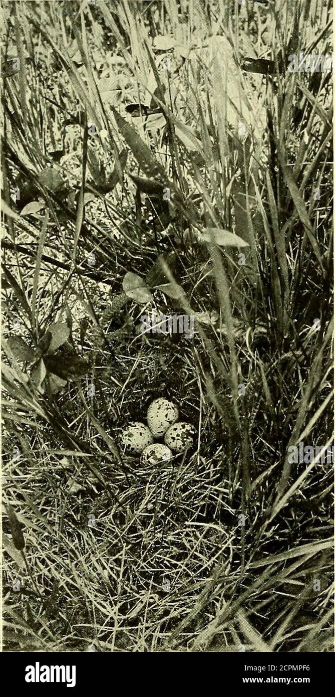 Feet pointing inward hi-res stock photography and images - Alamy