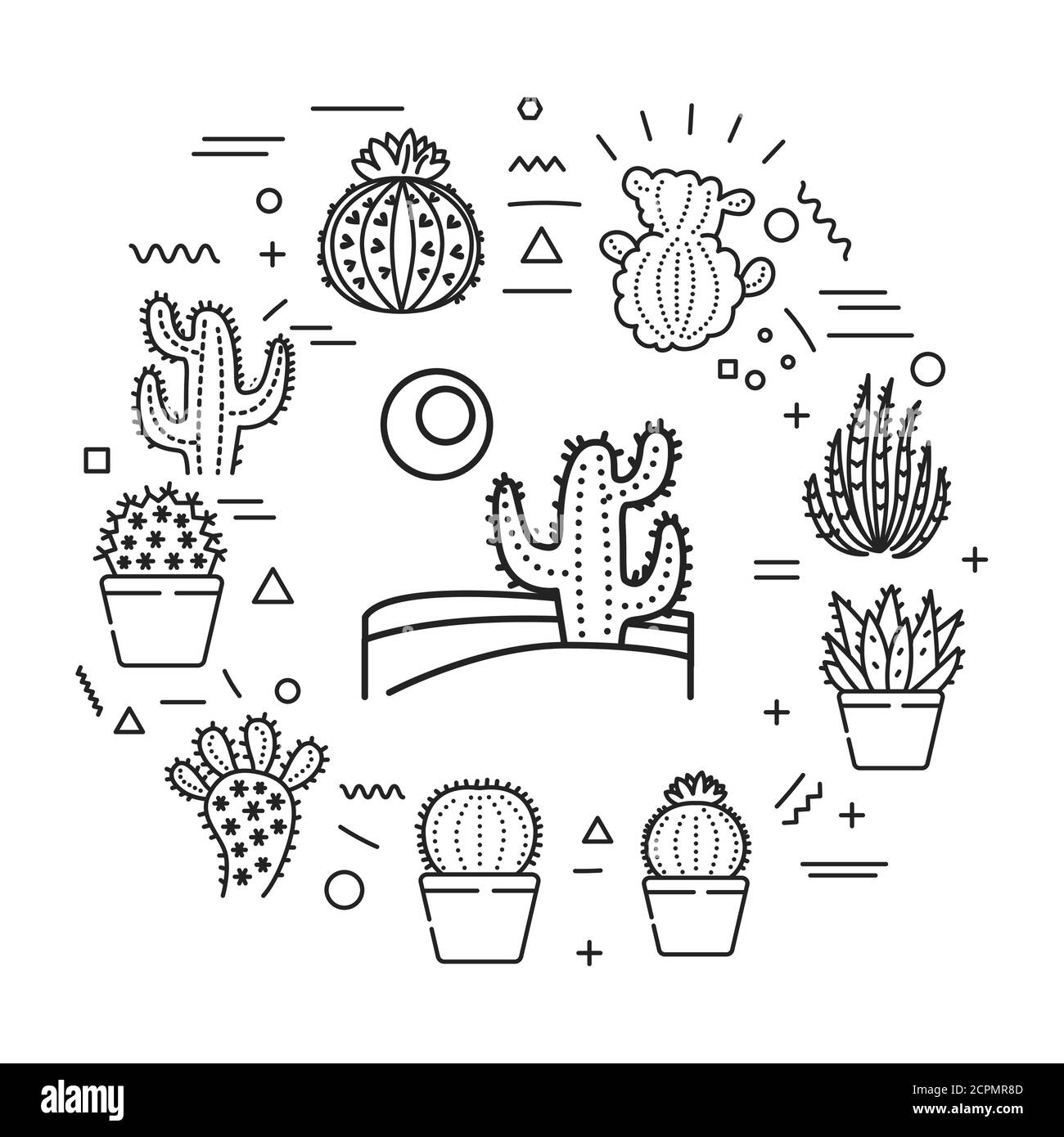 Cacti circular web banner. Infographics with linear icons on white ...