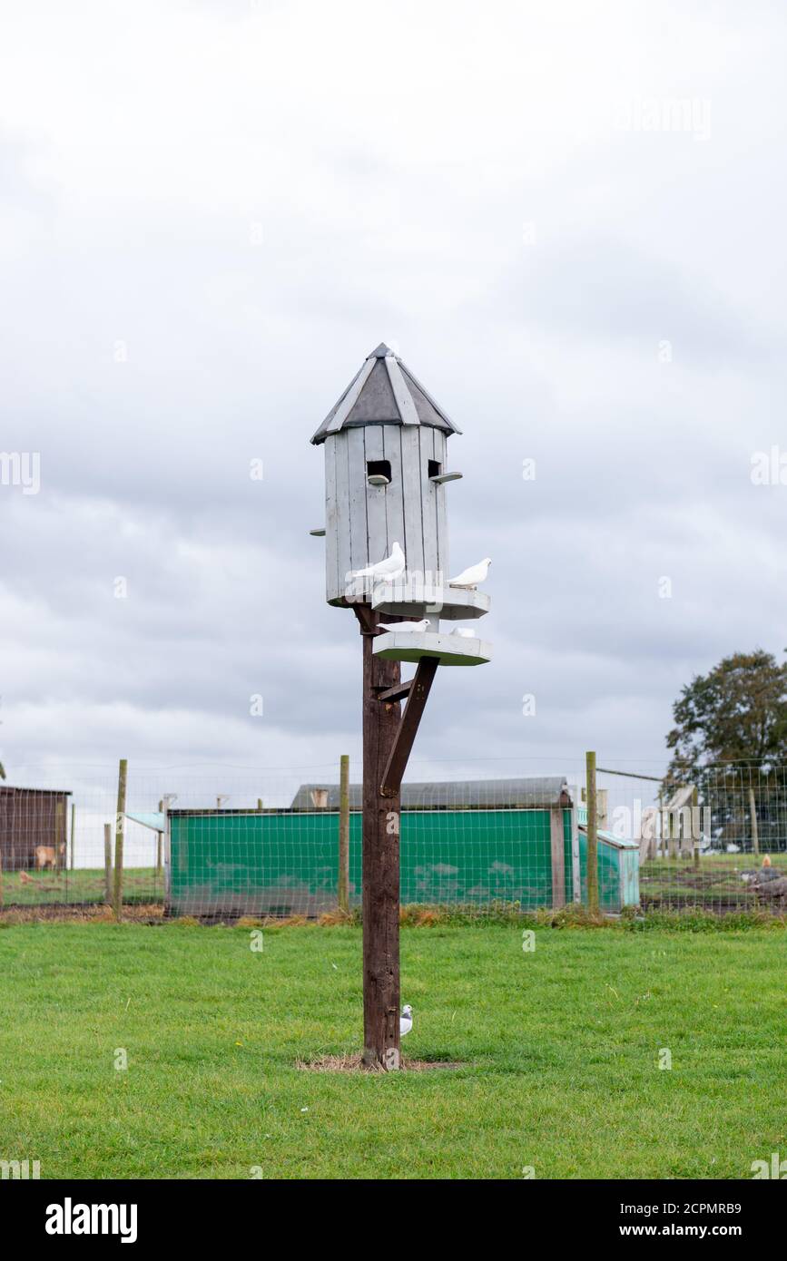 Rustic birds hi-res stock photography and images - Alamy