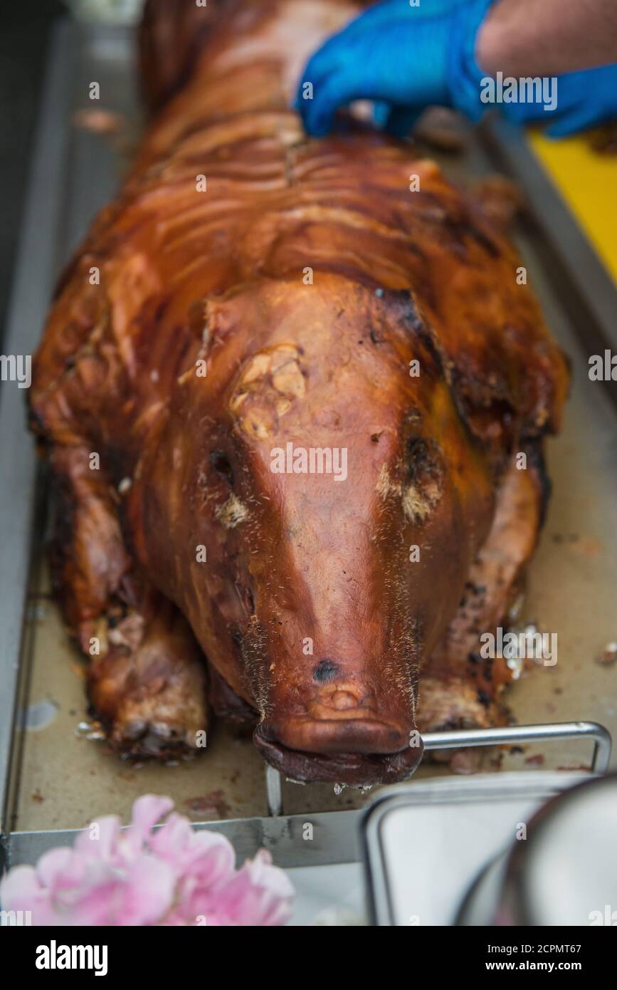Hog Roast with head facing the camera Stock Photo - Alamy