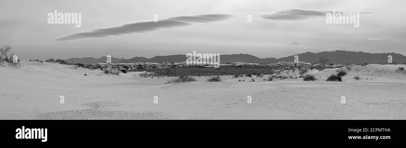 View of White Sands National Park gypsum sand dunes with vegetation ...