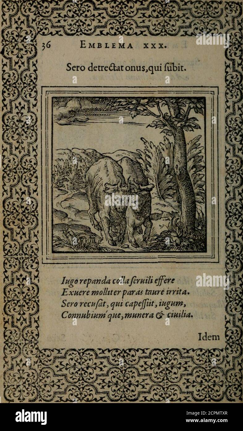 . Hadriani Iunii medici Emblemata Stock Photo - Alamy