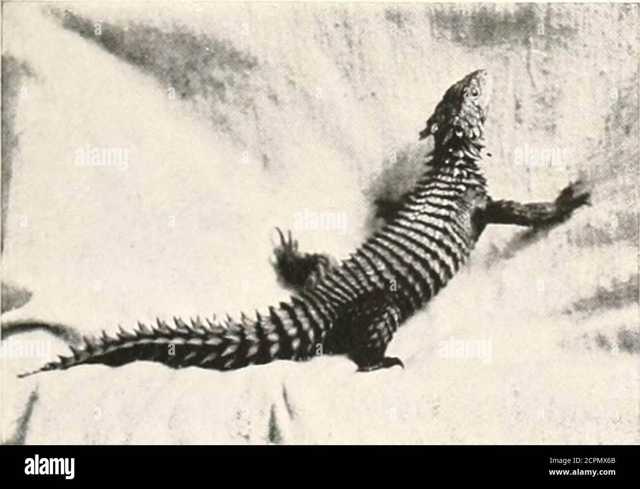 Locomotion number 1 hi-res stock photography and images - Alamy