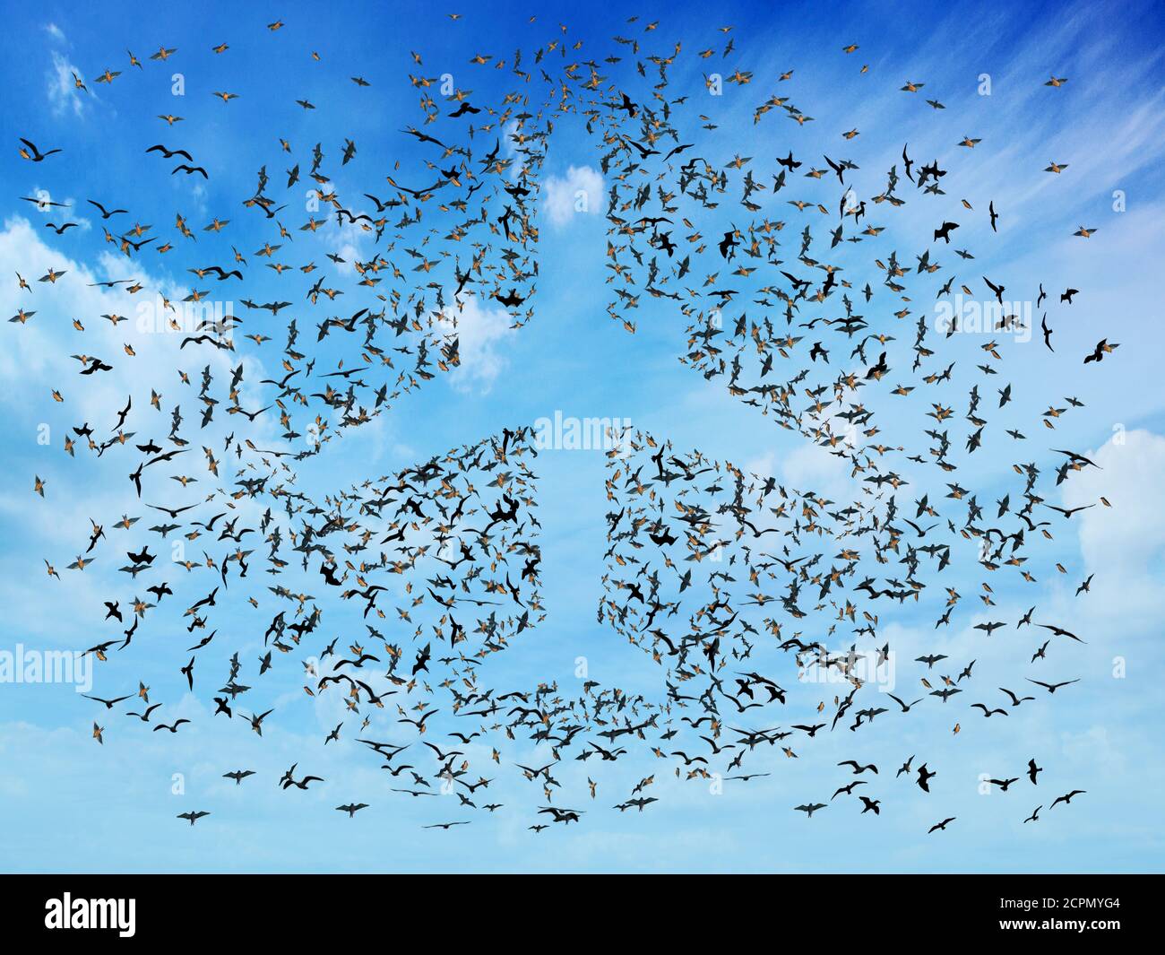 Air travel concept. Flock of flying birds organized in the shape of ...