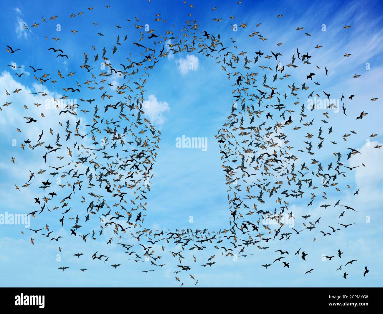 Key to success concept. Flock group of flying birds shaped as open ...