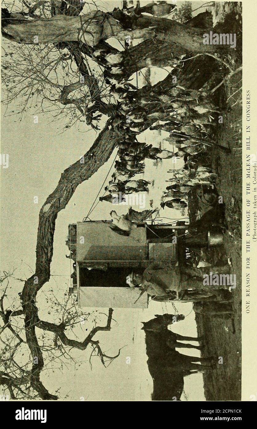 Miss barclay hi-res stock photography and images - Alamy