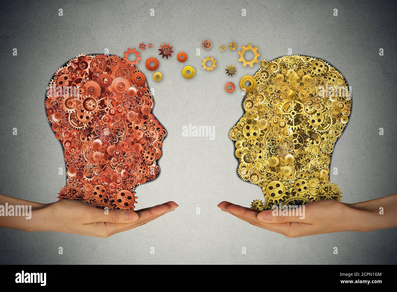 Teamwork and Leadership education symbol concept. Two human heads ...