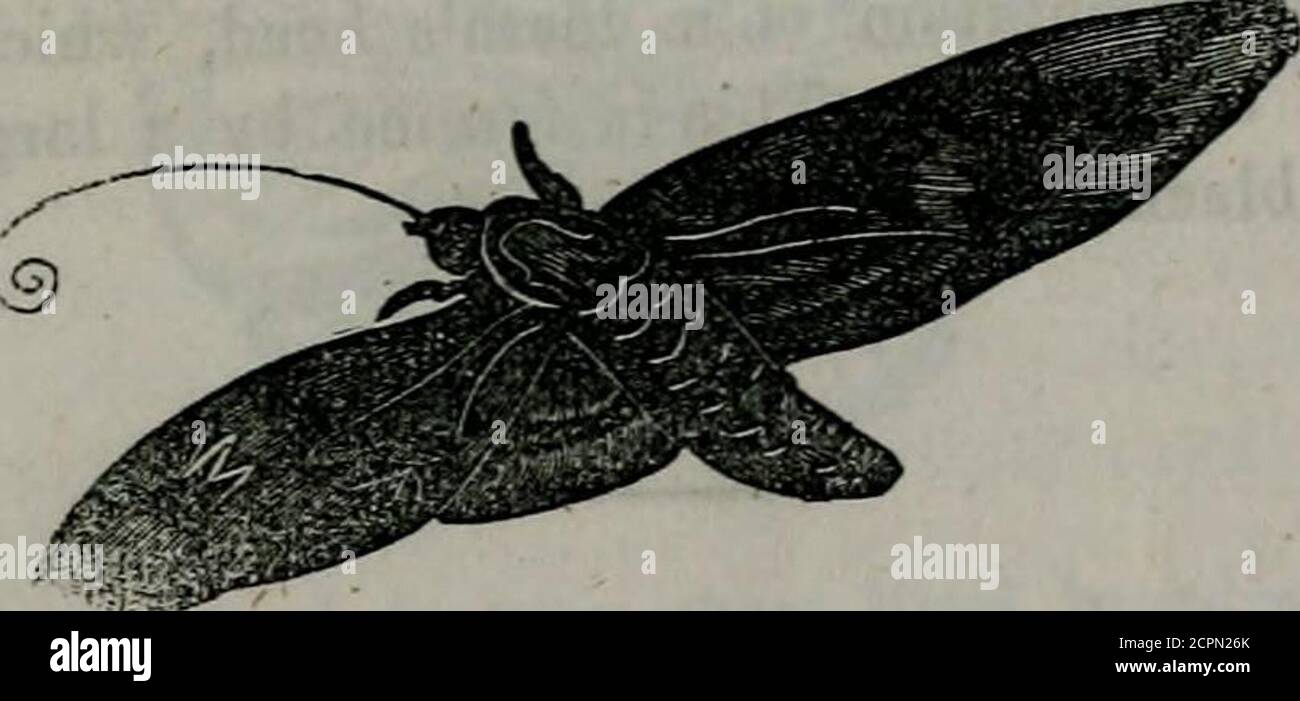 . The naturalist's library; containing scientific and popular ...
