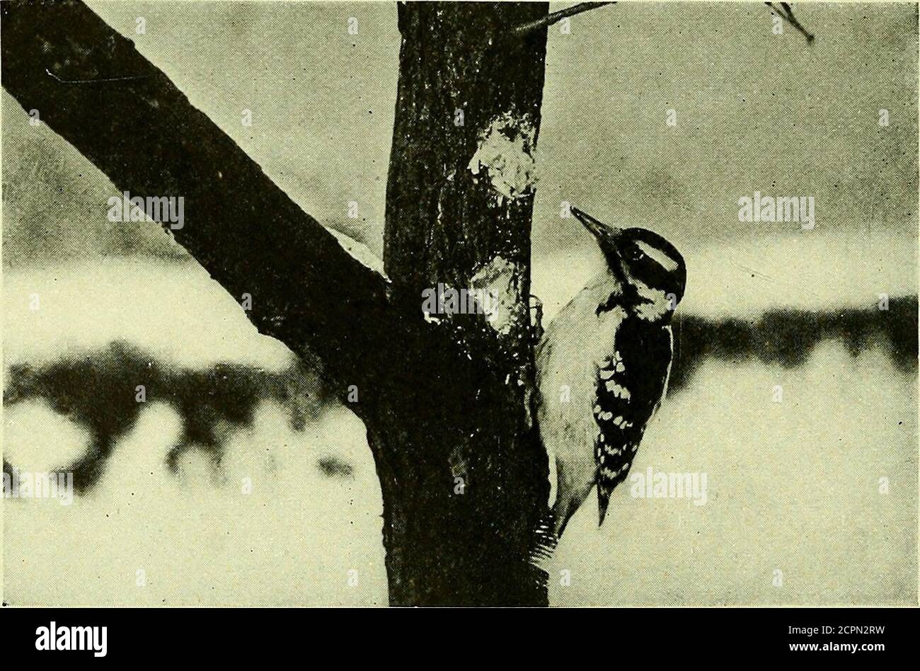 Naturalstaircase hi-res stock photography and images - Alamy