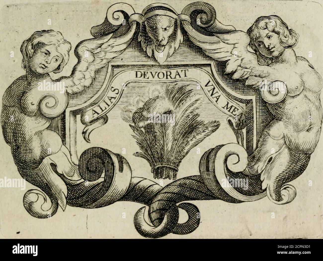 Marcus aquila hi-res stock photography and images - Alamy