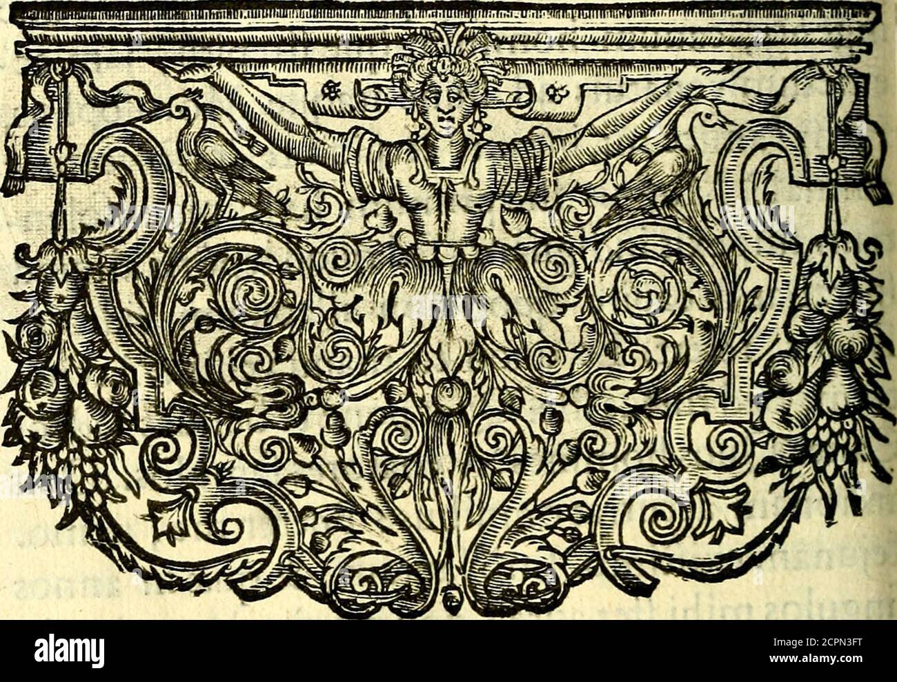 Venatores hi-res stock photography and images - Alamy