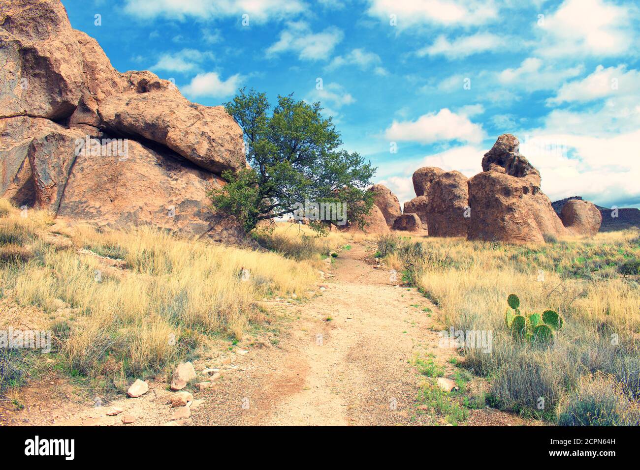 View of boulders that make up City of Rocks State Park in New Mexico ...
