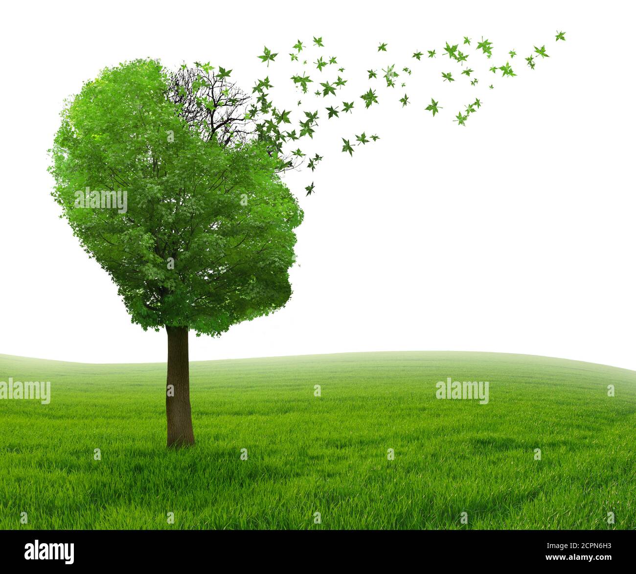 Brain disease with memory loss due to Dementia and Alzheimer's illness ...