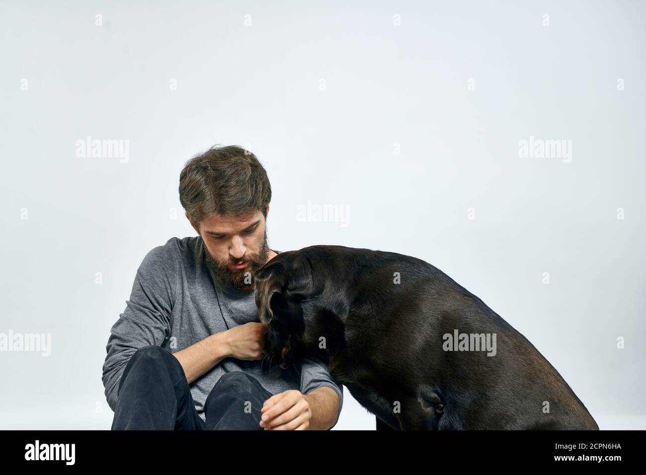 happy owner with pet black dog training model emotions Stock Photo - Alamy