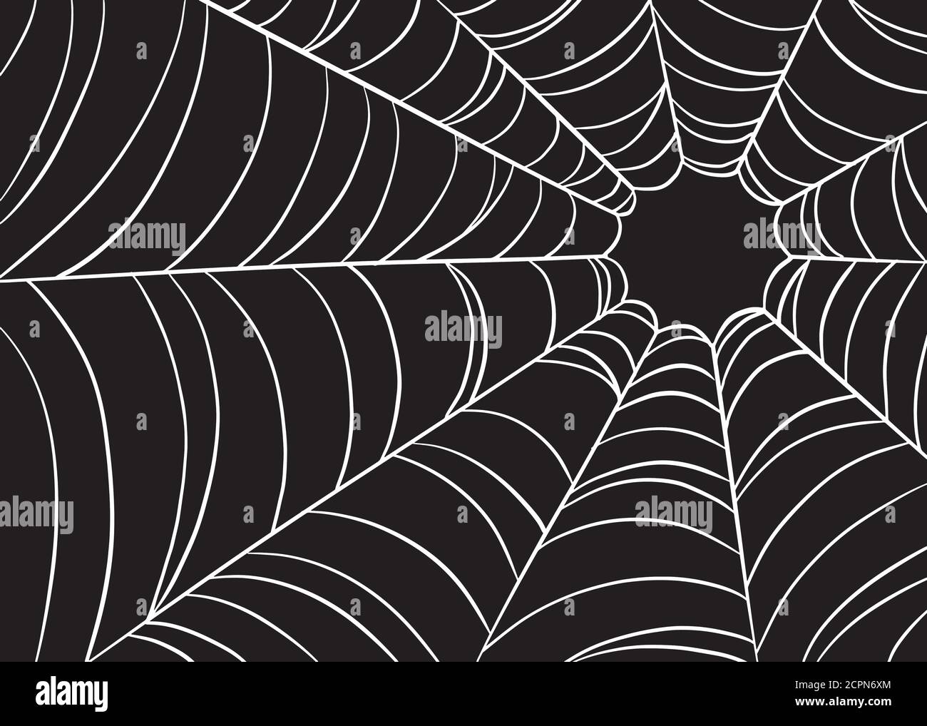 Spider web illustration. Black and white graphic. Hand drawn vector ...