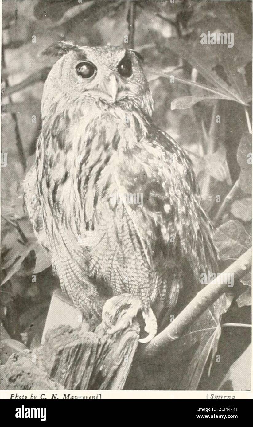 Iht symbol hi-res stock photography and images - Alamy