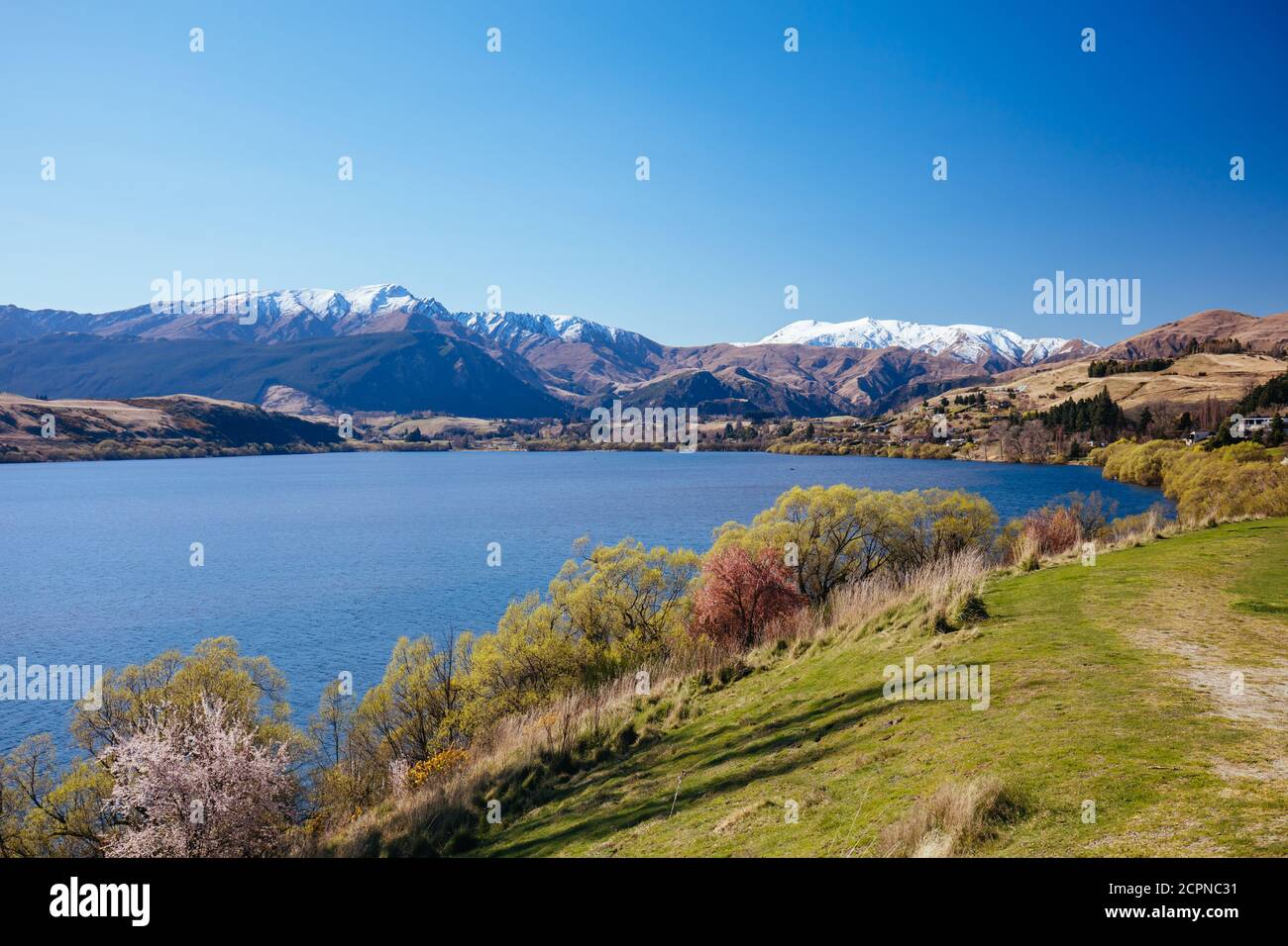Lake Hayes in New Zealand Stock Photo - Alamy