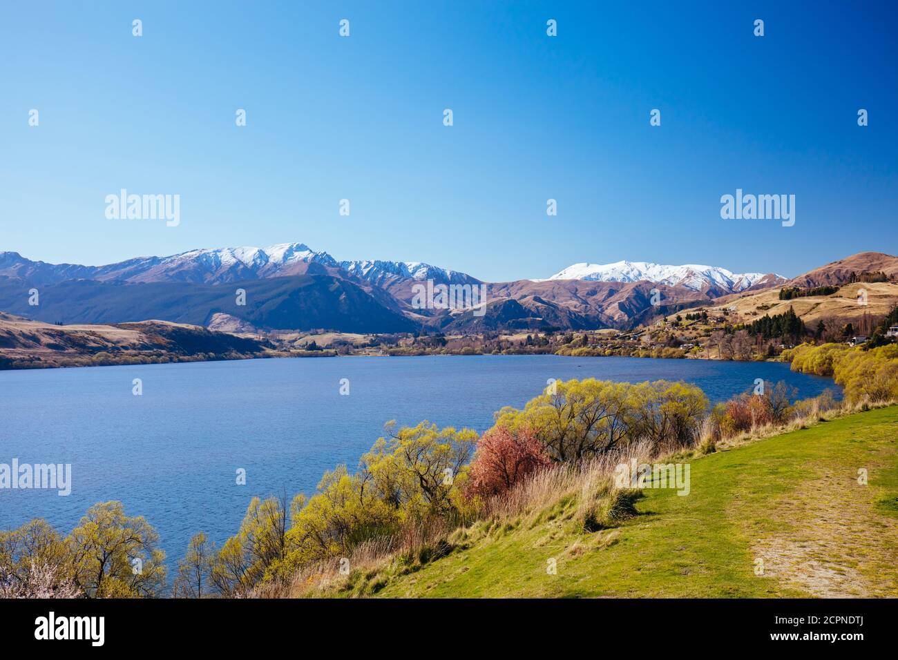 Lake Hayes in New Zealand Stock Photo - Alamy