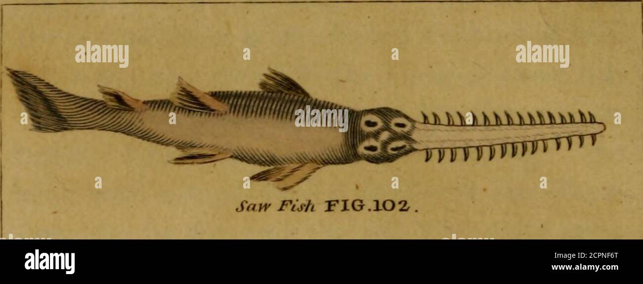 Fishit hi-res stock photography and images - Alamy