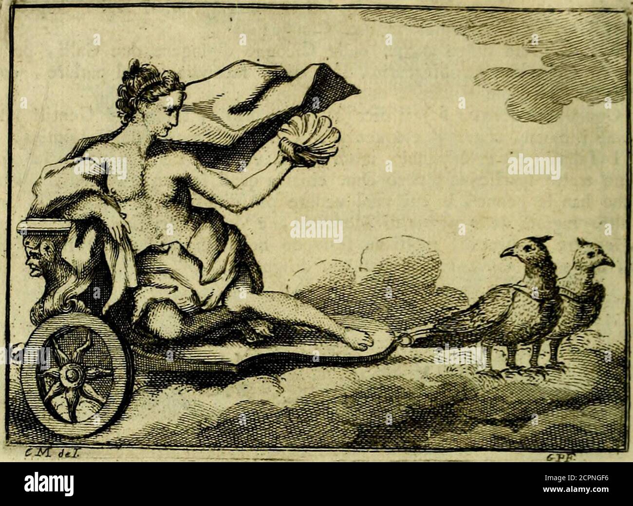 Serpenti di porta hi-res stock photography and images - Alamy