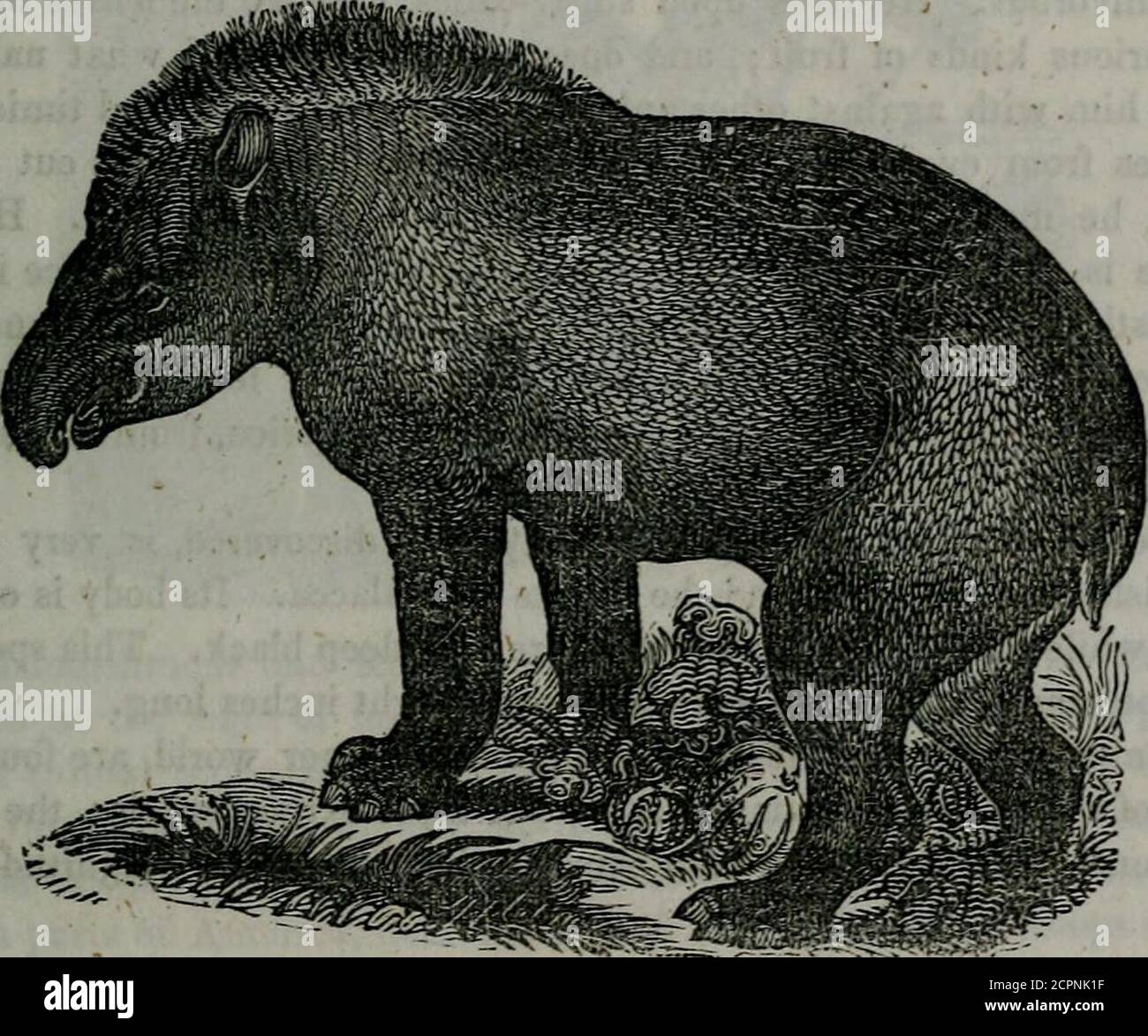 . The naturalist's library; containing scientific and popular ...