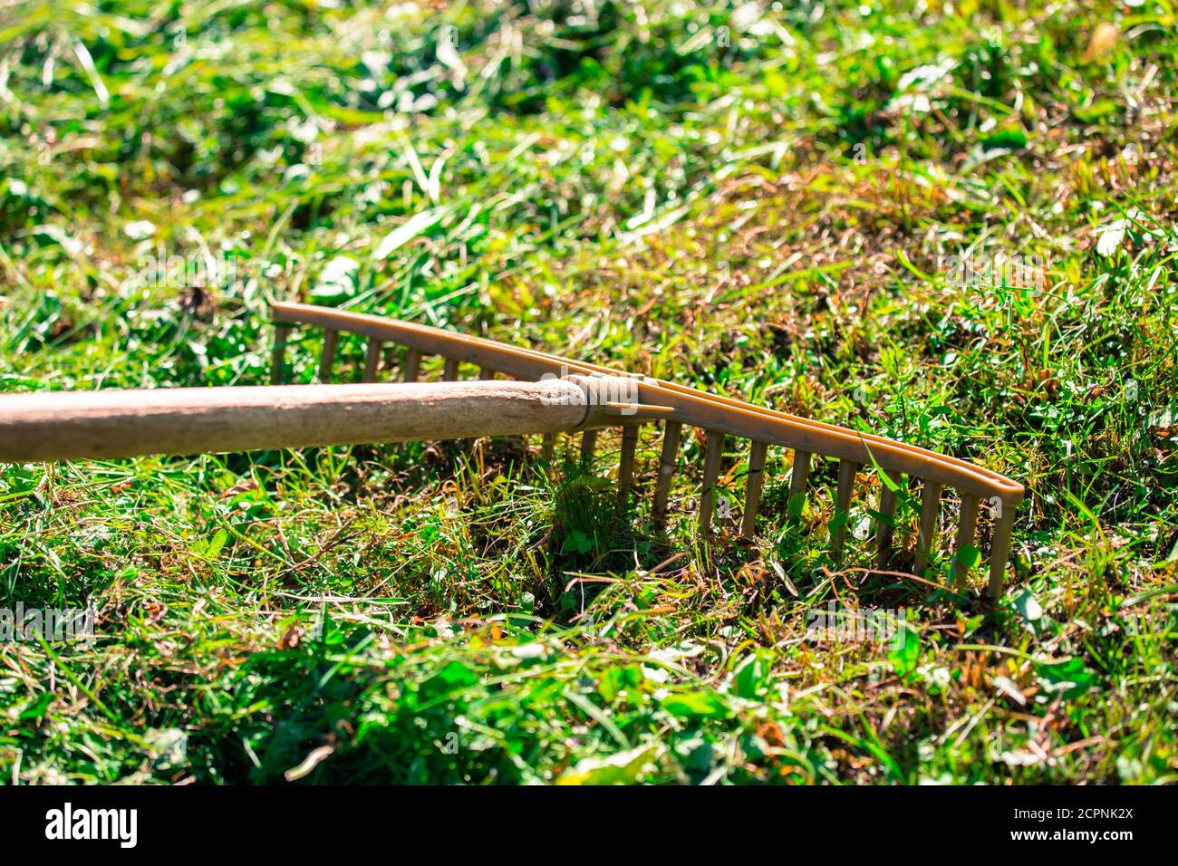 Man working on green farm with rake in nature. Cultivate meadow and ...