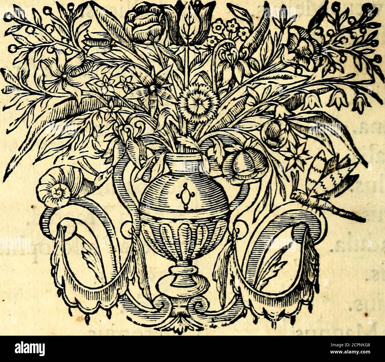 Iunius High Resolution Stock Photography and Images - Alamy