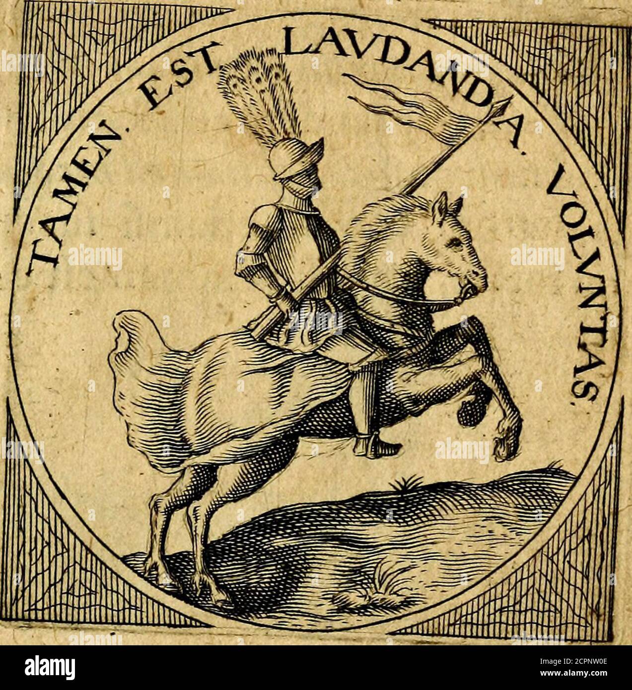 Modo tv hi-res stock photography and images - Alamy