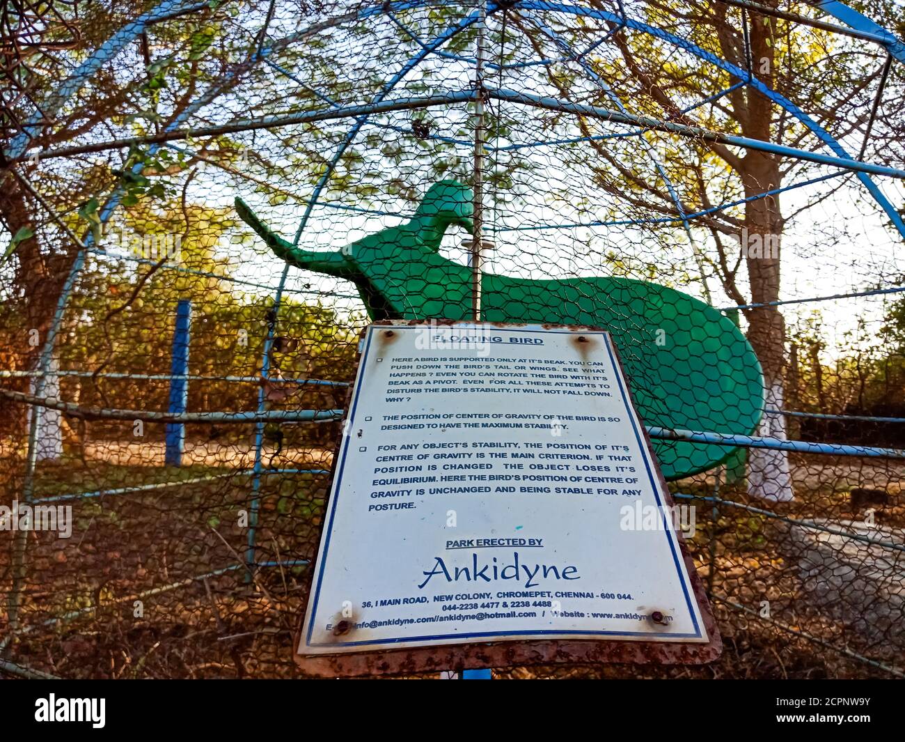 Programming bird hi-res stock photography and images - Alamy