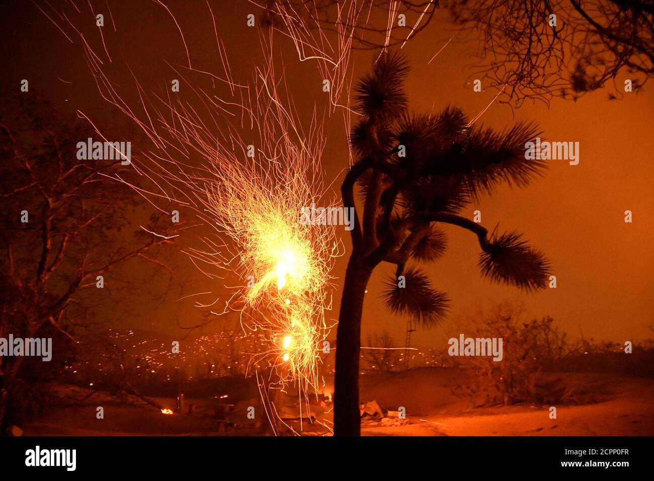 Juniper fire (forest or tree) hi-res stock photography and images - Alamy