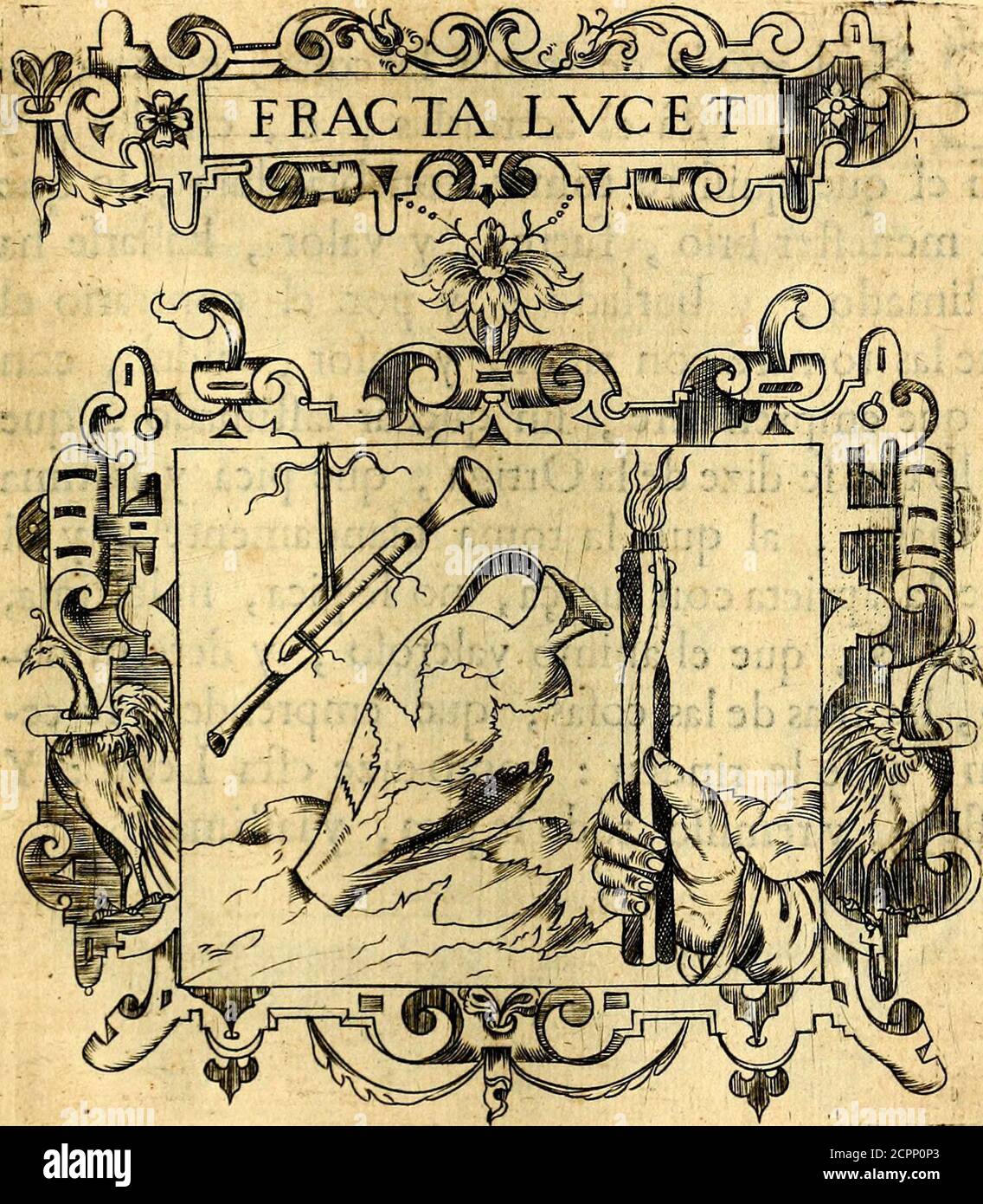 Numero de pecho hi-res stock photography and images - Alamy