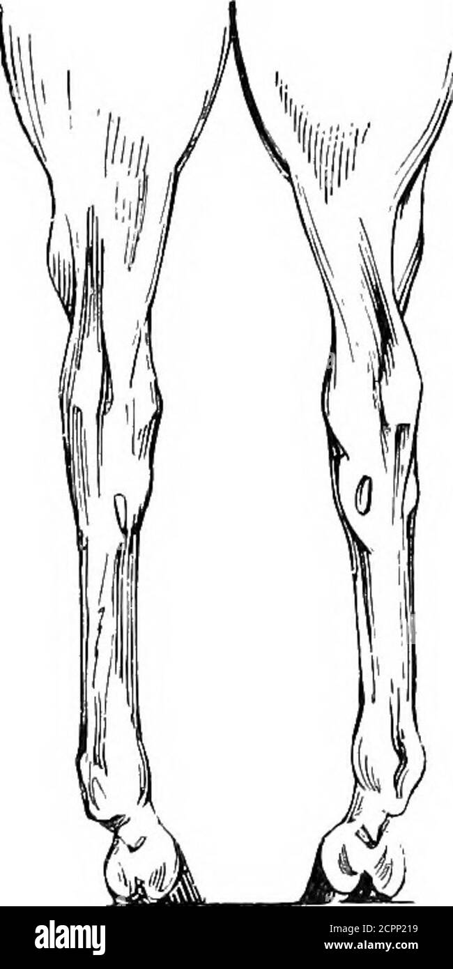 Hock point hi-res stock photography and images - Alamy