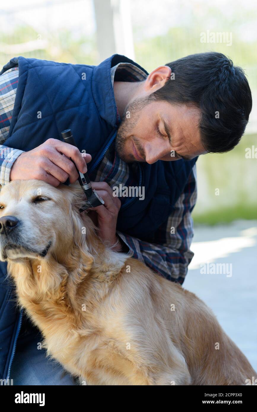 Doctor checking patient ears hi-res stock photography and images - Alamy