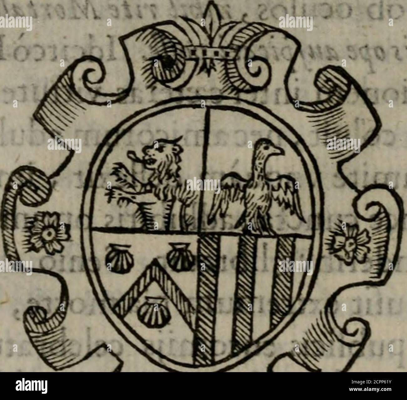 Digc hi-res stock photography and images - Alamy