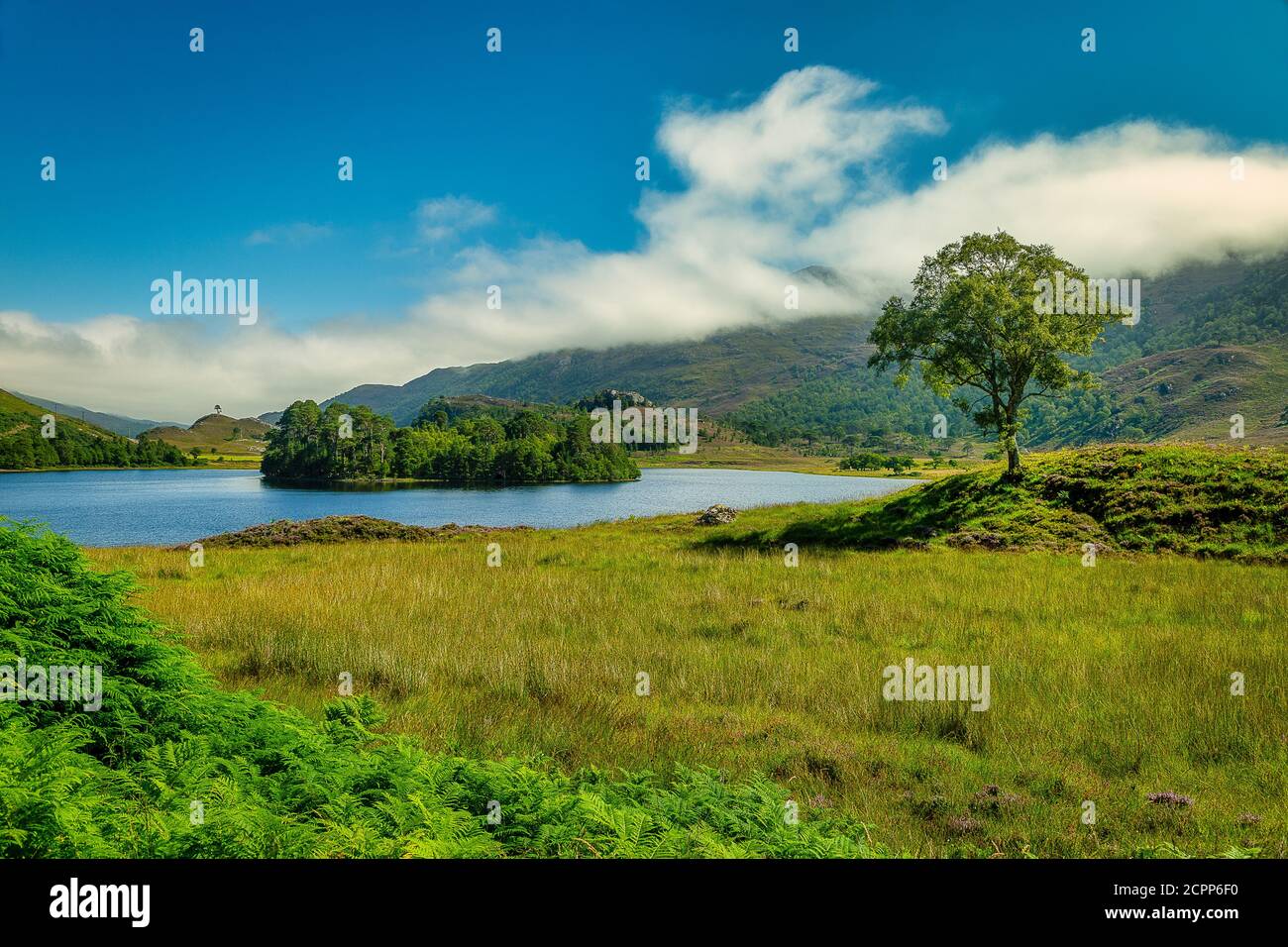 Scottish scenery hi-res stock photography and images - Alamy