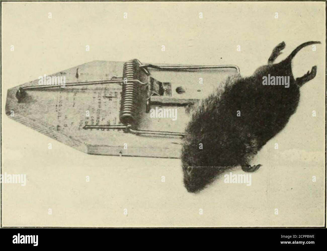 Strychnine poisoned grain hi-res stock photography and images - Alamy