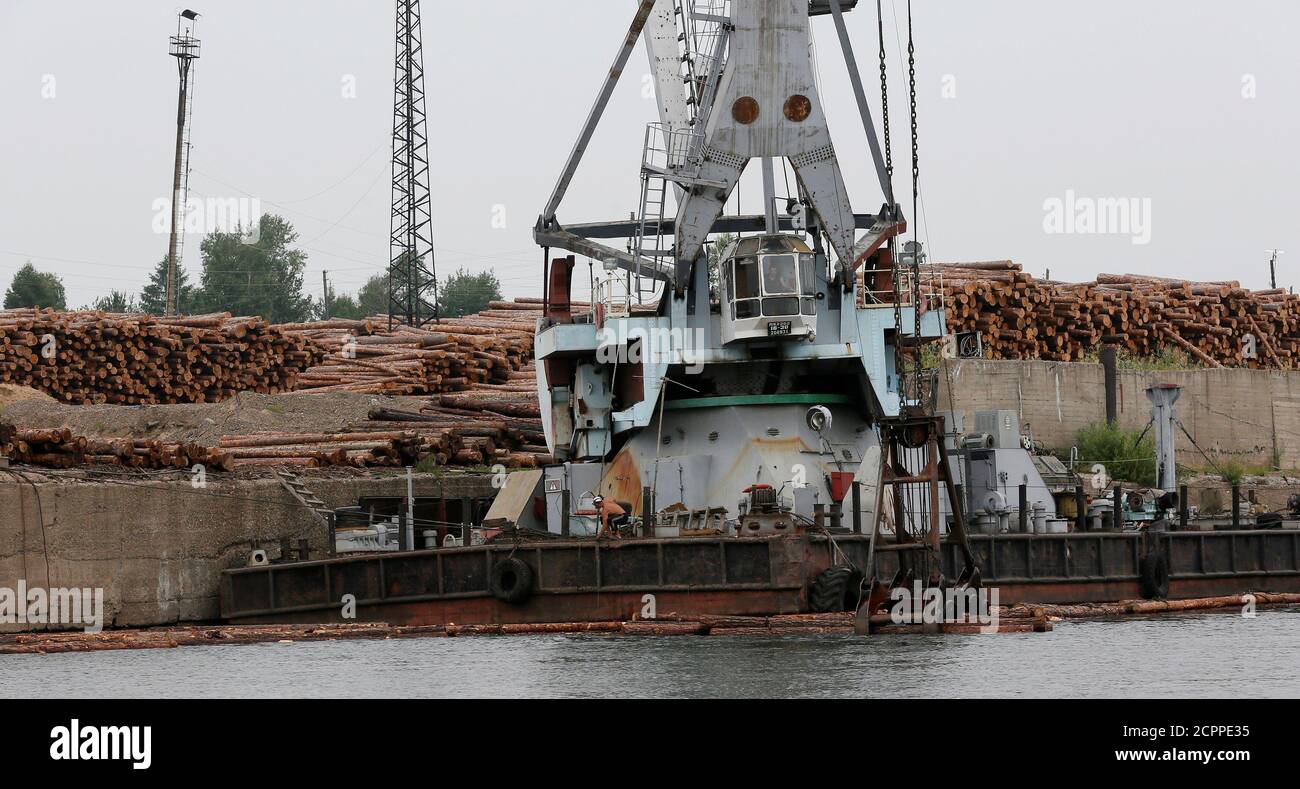 Siberian Larch Timber High Resolution Stock Photography and Images - Alamy