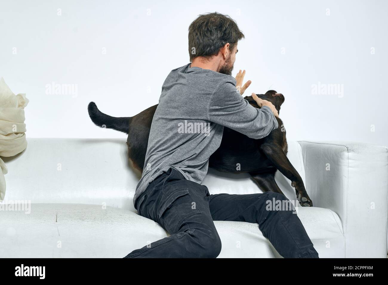 Happy man and dog on the couch In a bright room pet is a friend of man ...