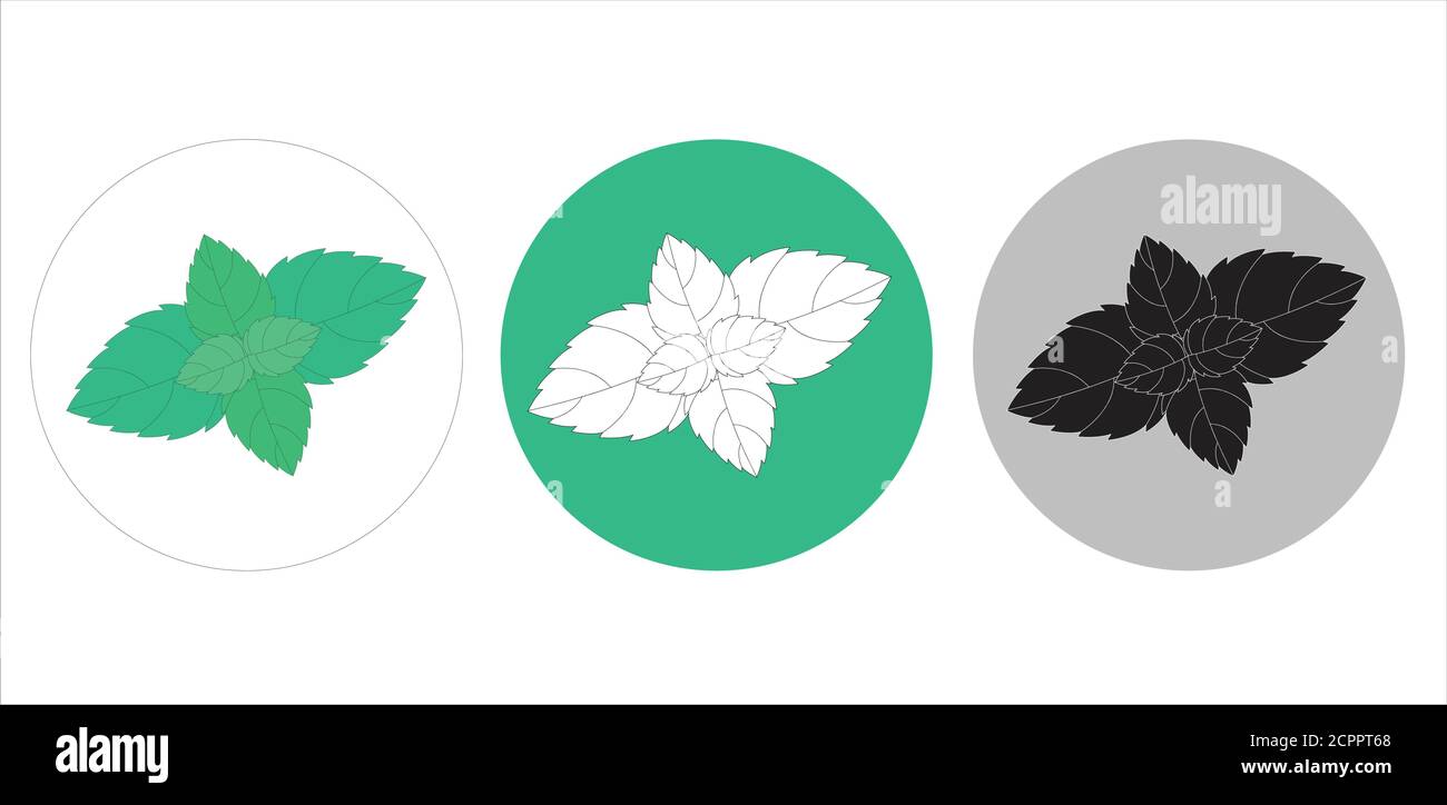 Mint leaf on an isolated background. Vector sign for labels and ...