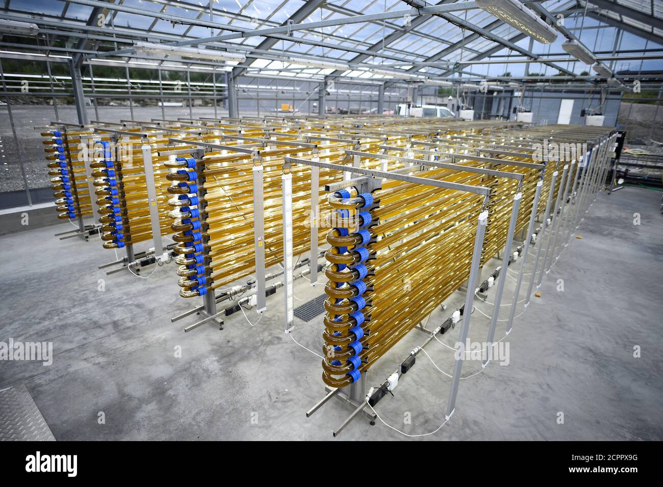 Algae oil in tubes hi-res stock photography and images - Alamy