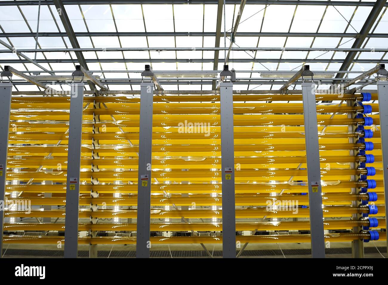Algae oil in tubes hi-res stock photography and images - Alamy