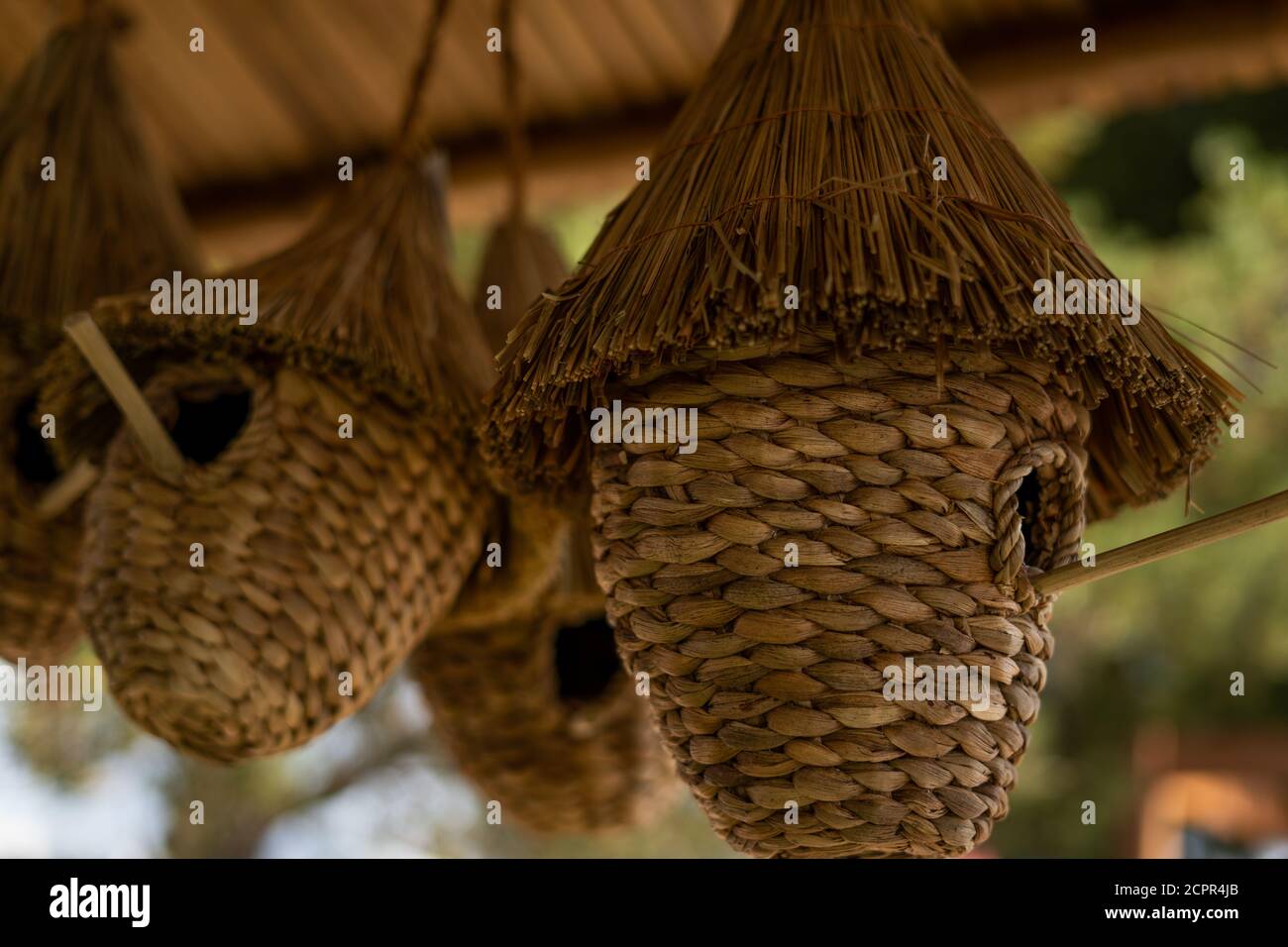 Household wicker nest hanging from tree. Hanging under ceiling wicker ...
