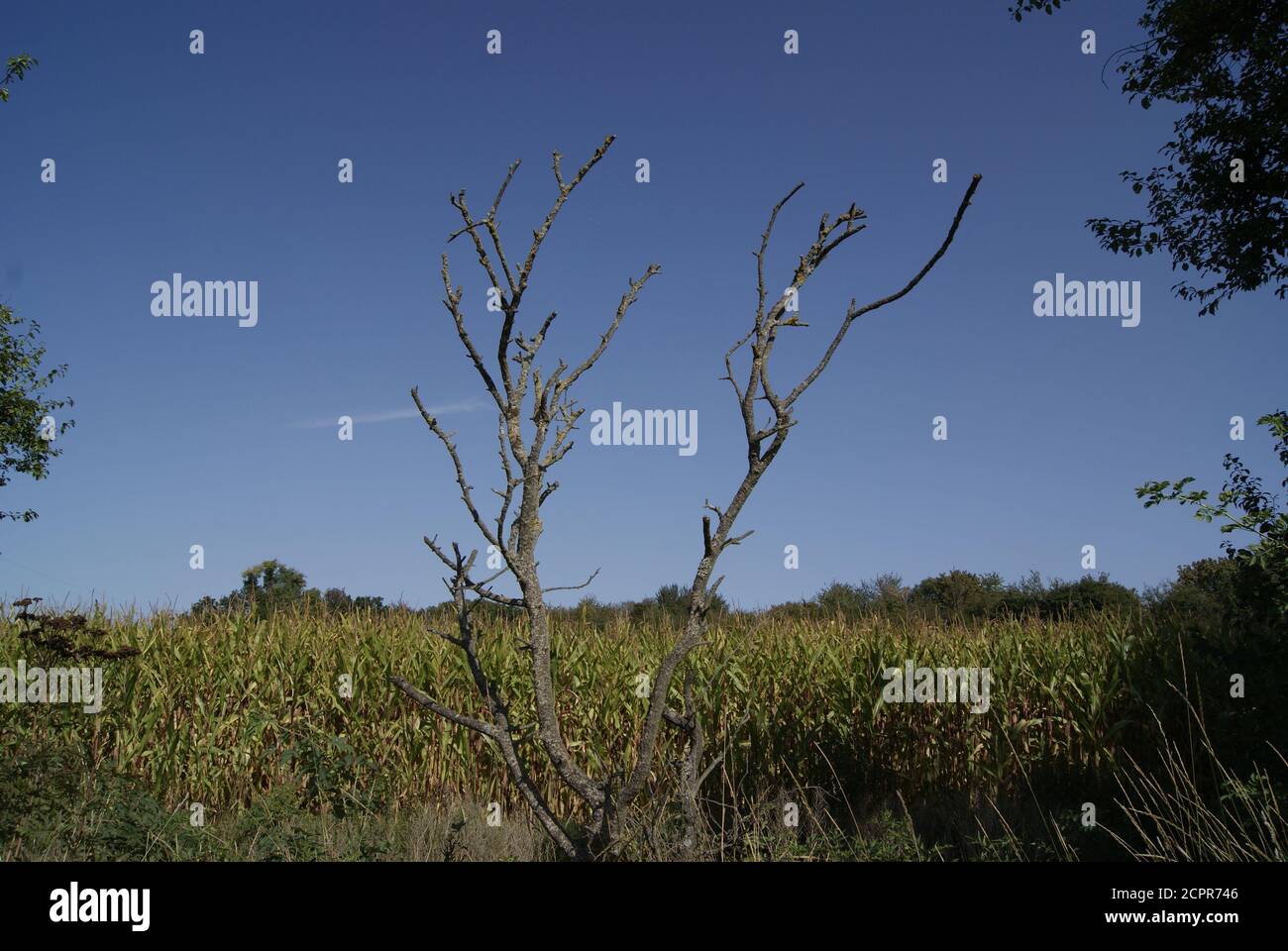 Walk along the Nidda in Hessen Germany Stock Photo - Alamy